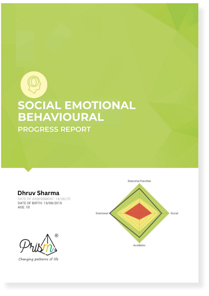 Prism - Whole Child Assessments for Schools